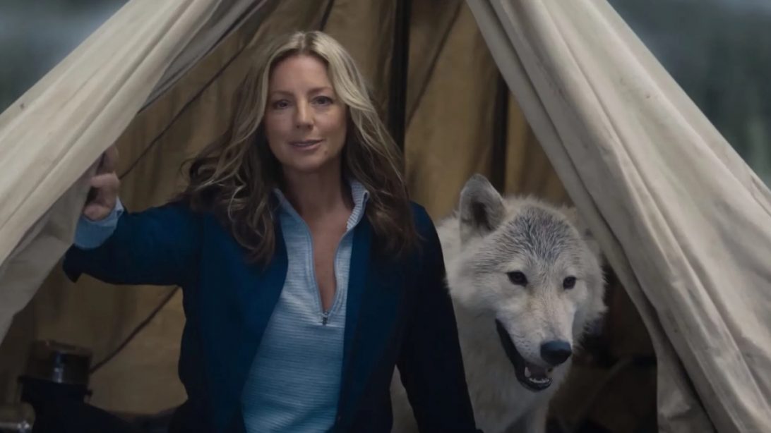 Busch Light’s Super Bowl Ad Spoofs Sarah McLachlan’s ASPCA Commercials ...
