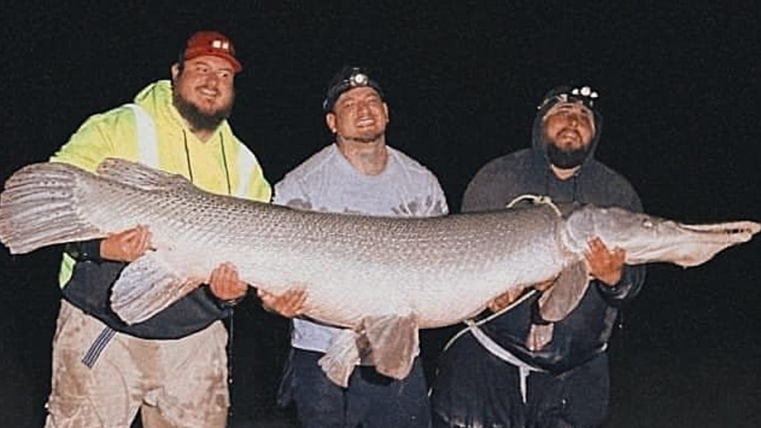 Epic Achievement Unlocked: Brothers Reel In Monstrous Alligator Gar ...