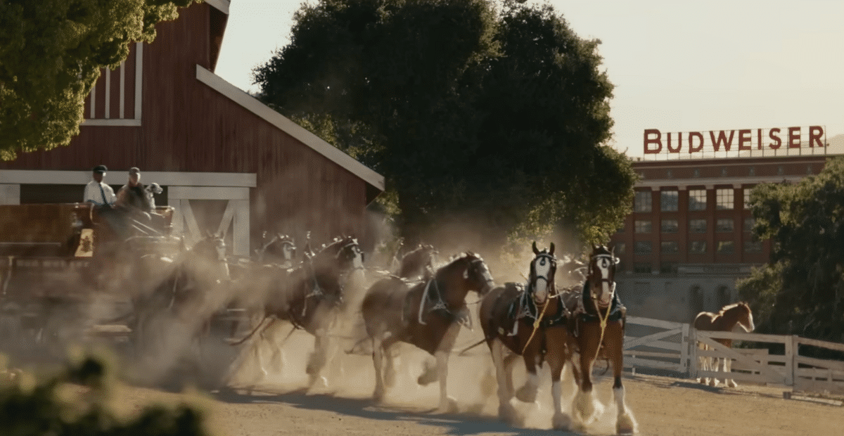 Budweiser Clydesdales’ “First Delivery” Super Bowl Commercial Voted ...