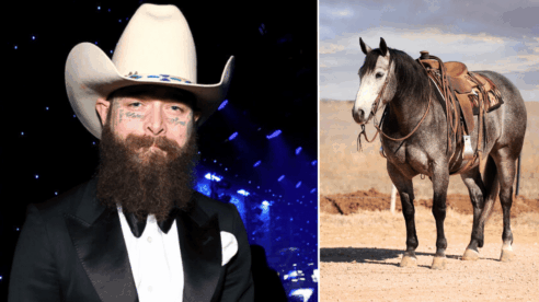 Horse Trainer Thanks Post Malone For Buying "A Once In A Lifetime ...