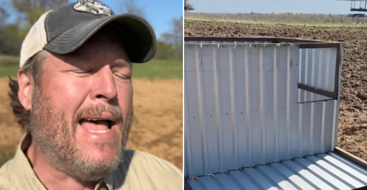 Blake Shelton's "Old Pet Duck" Is Missing, But He Has A Good Sense Of ...